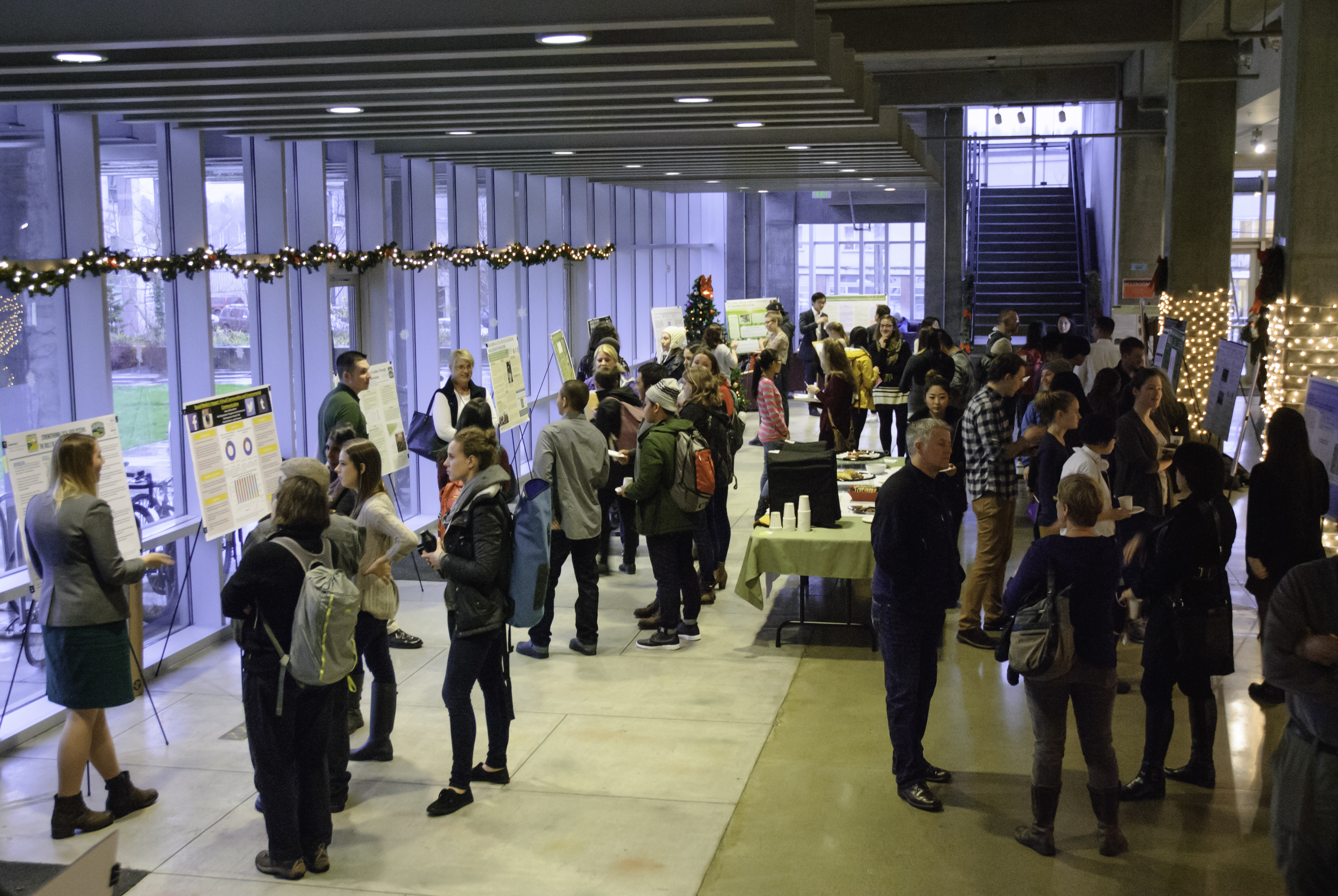 Program on the Environment » Capstone Experience