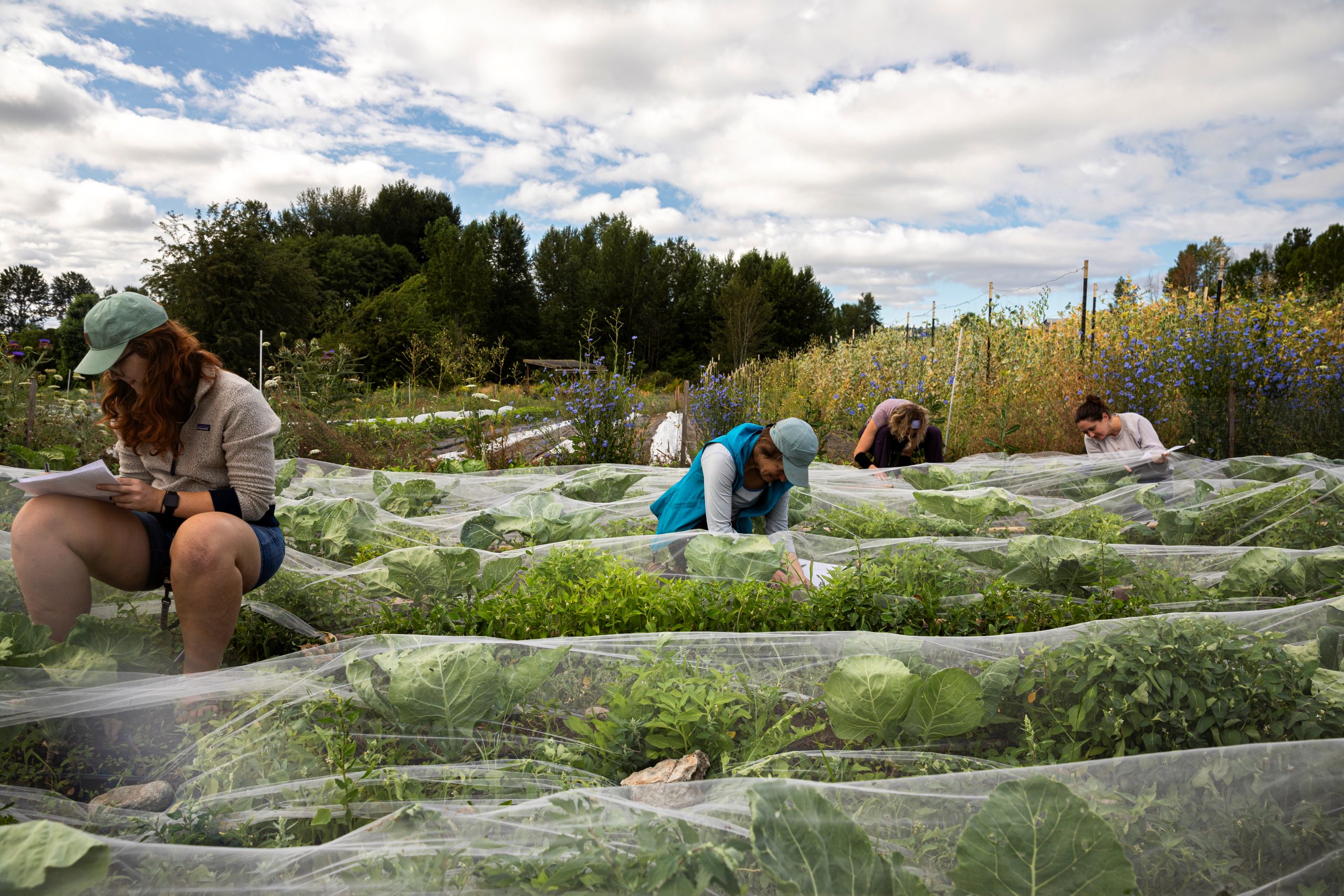 Program on the Environment » Study Abroad